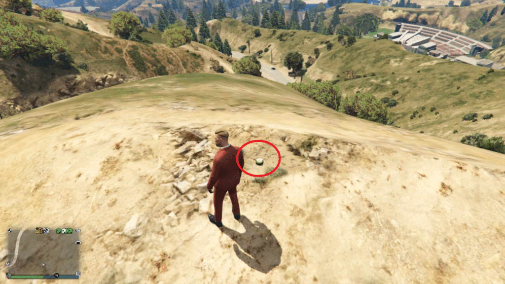 Find Every Peyote Plant in GTA V: Step-by-Step | GTA Gossip