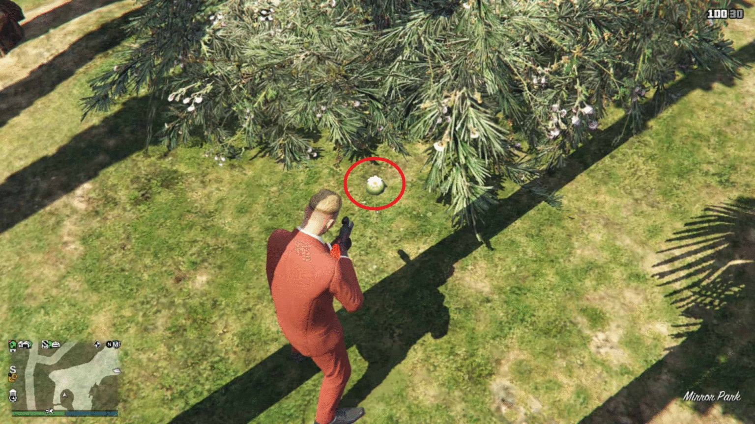 Find Every Peyote Plant in GTA V: Step-by-Step | GTA Gossip